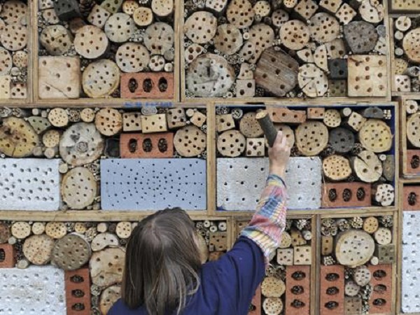 Insect Hotel • Insteading
